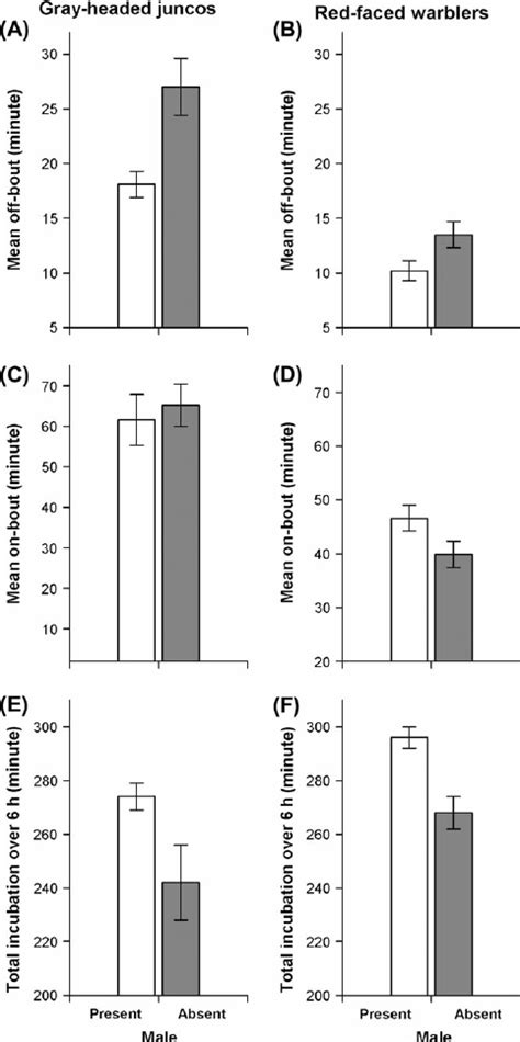 Female Foraging Behavior In Presence And Absence Of Their Male Partner
