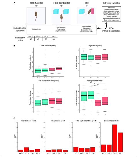 Novel Object Recognition Performance In The Test Session In Male And