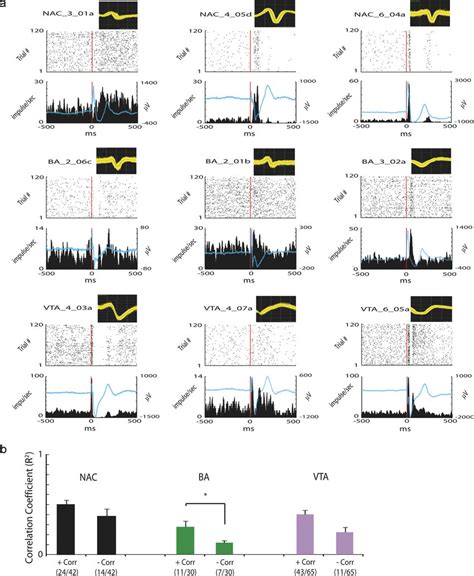 Cortical Stimulation Synchronizes Unit Activity Across Limbic Circuits Download Scientific