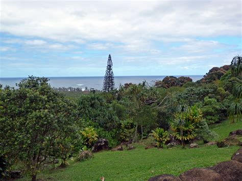 Kauai S Living Landscape Fine Gardening