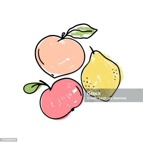 흰색 배경에 나뭇잎이 있는 손으로 그린 과일의 벡터 세트 사과 레몬 복숭아 손으로 그린 아이콘입니다 순진한 그림 구성 0명에 대한 스톡 벡터 아트 및 기타 이미지 Istock