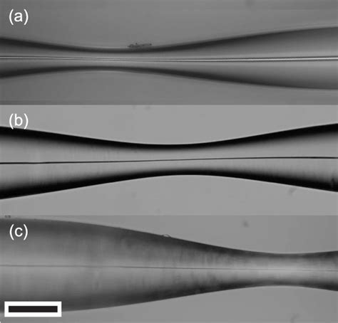 Figure 1 From Tapered Silicon Optical Fibers Semantic Scholar