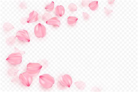 핑크 사쿠라 떨어지는 꽃잎 벡터 배경입니다 3d 낭만적 인 그림입니다 사쿠라와 함께 교통 배너 꽃 나무에 대한 스톡 벡터 아트 및 기타 이미지 Istock