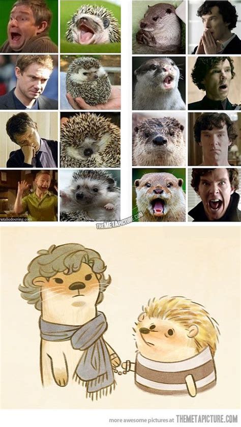 Sherlock Holmes Otter Meme