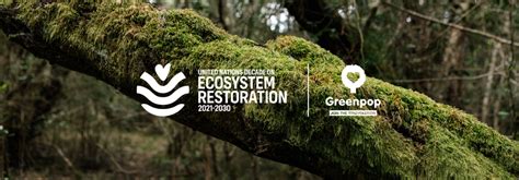United Nations Decade On Ecosystem Restoration Greenpop
