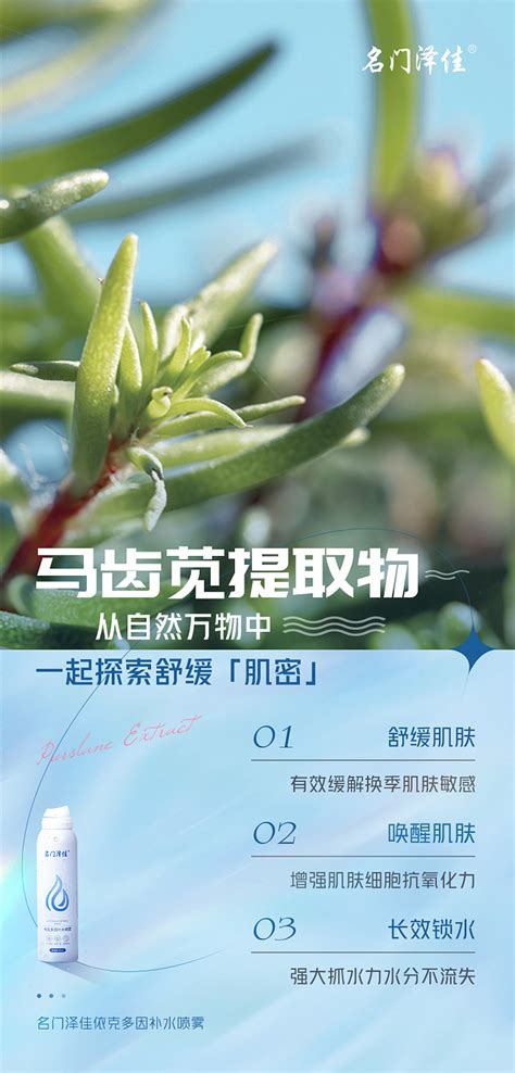 成分海报 马齿苋