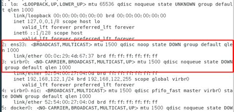 Linux Centos7 Does Not Connect To The Internet After Booting
