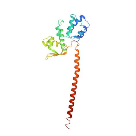 Rcsb Pdb 6r7h Structural Basis Of Cullin 2 Ring E3 Ligase Regulation