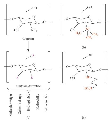 Chemical Structures Of A Chitosan B Trimethyl Chitosan Tmc And