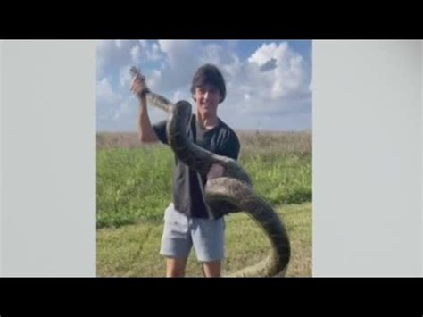 FAU Babe Catches Massive Burmese Python While On Florida Everglades Trip With Girlfriend
