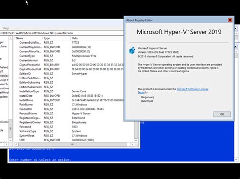 Hyper V Server 2019100177231000rs5release180720 1452 Betaworld 百科