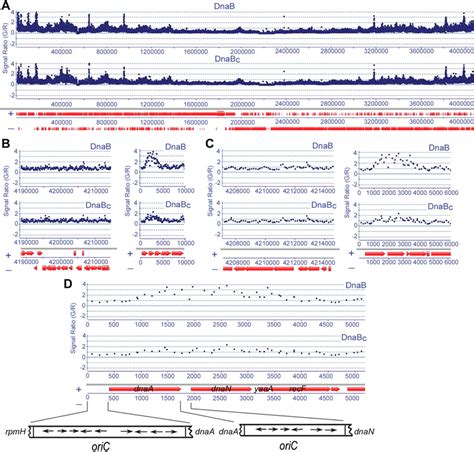 Chip Chip Microarray Analysis A Data From Chip Chip Microarray Download Scientific Diagram