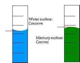 Science Experiment How Does Cohesion And Adhesion Work