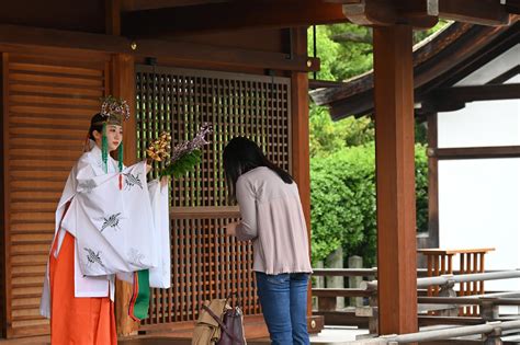 藤の巫女神楽 イベント一覧 京都府観光連盟公式サイト
