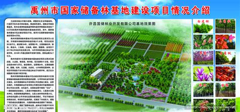 国家储备林基地设计图展板模板广告设计设计图库昵图网