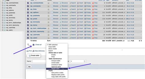 Solución De Problemas Errores De Conexión A La Base De Datos Kinsta® Docs