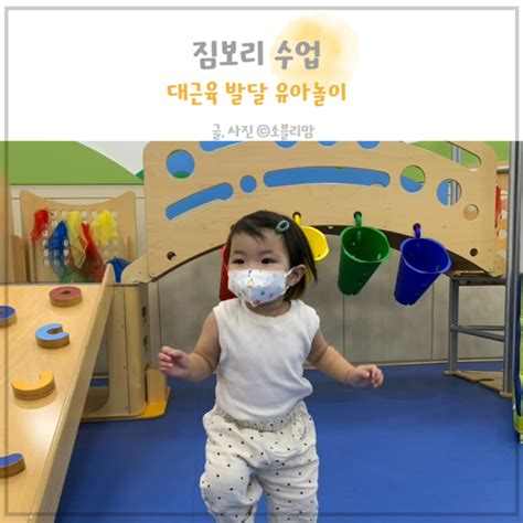짐보리 센터 수업 16개월 18개월 19개월 아기 대근육 발달 유아 놀이터 네이버 블로그