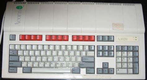 Chriss Acorns Acorn A3020