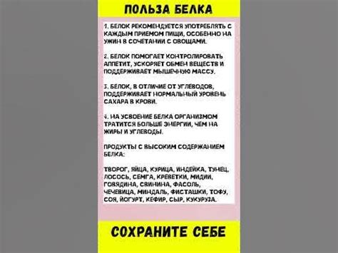 ПОЛЬЗА БЕЛКА ДЛЯ НАШЕГО ОРГАНИЗМА / ПРОДУКТЫ БОГАТЫЕ БЕЛКОМ - YouTube