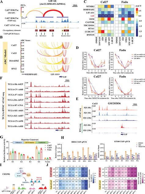 Super‐enhancer Driven Liflifr‐stat3‐sox2 Regulatory Feedback Loop