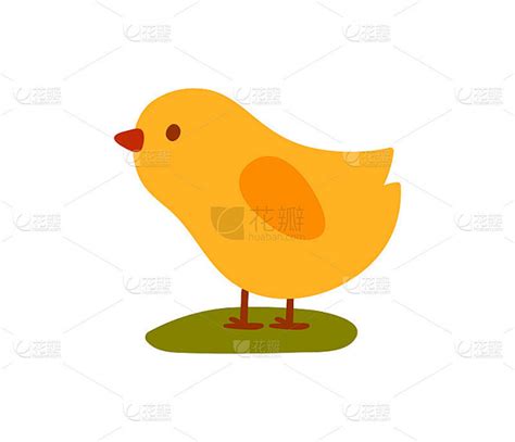 黄色的可爱的鸡