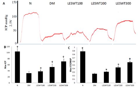 Erectile Function Assessed By Max Intracavernous Pressure ICP And Download Scientific Diagram