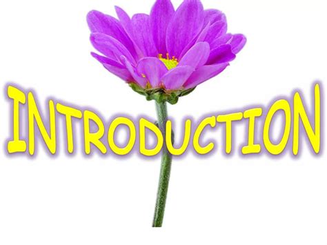 Development Of A Research Proposal Pptx