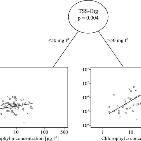 Model Based Recursive Partitioning Of The Relationship Between