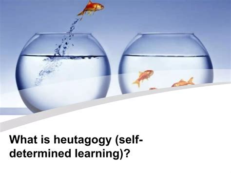 What Is Heutagogy And And How Can We Use It To Help Develop Self Determined Learners Ppt