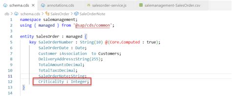 Sap Cap Create User Interface And Customizing Bussiness Logic In Cap Sap Zero To Hero
