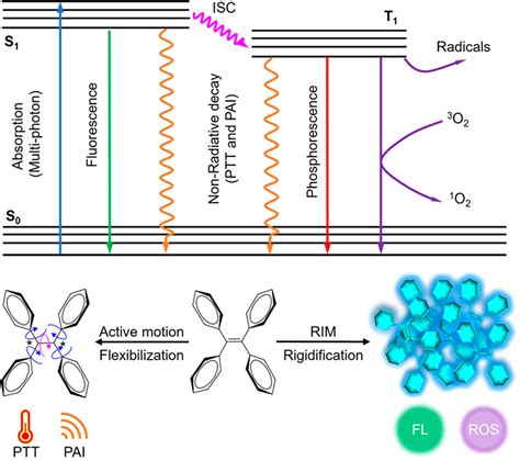 Aggregation Induced Emission Aie Life And Health Acs Nano