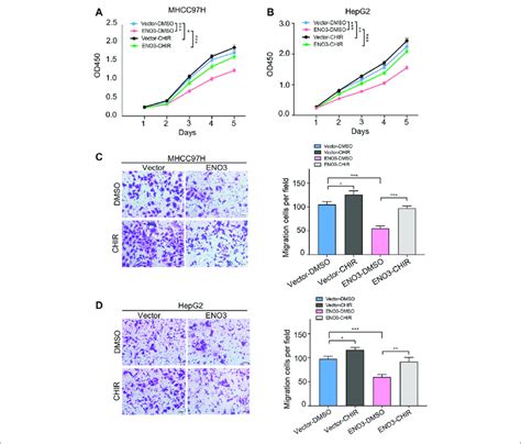 Activating Wntβ Catenin Pathway Abolishes The Suppressive Effects Of