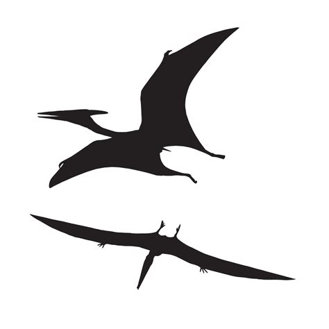Pterodactyl Dinosaur Silhouette Illustration 46621937 Vector Art At