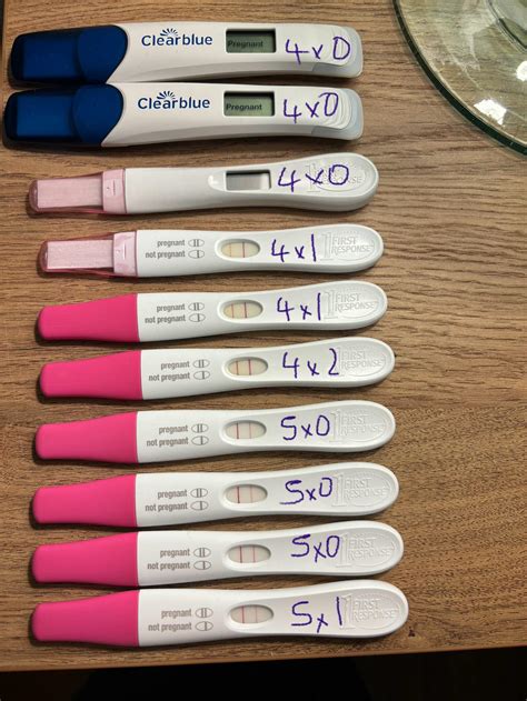 Test Progression R Lineporn