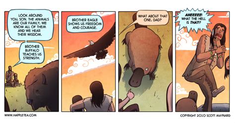 Platypi Teach Us How To Platypi Imgur