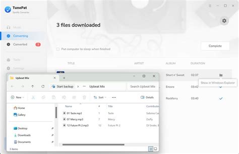 SpotDownloader Review Key Features Alternatives