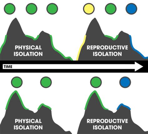 Difference Between Geographical And Reproductive Isolation Definition