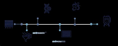 Machine Learning Enzyme Engineering Evoselect® Isomerase