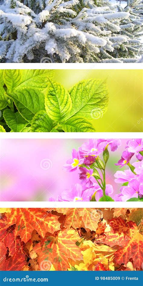 Quattro Stagioni Dell Anno Immagine Stock Immagine Di Arancione