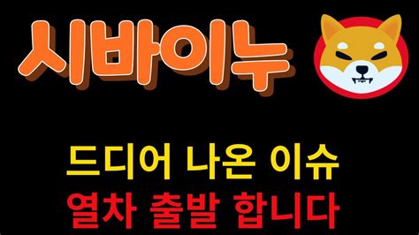 시바이누 드디어 나온 이슈 열차 출발 합니다 Youtube