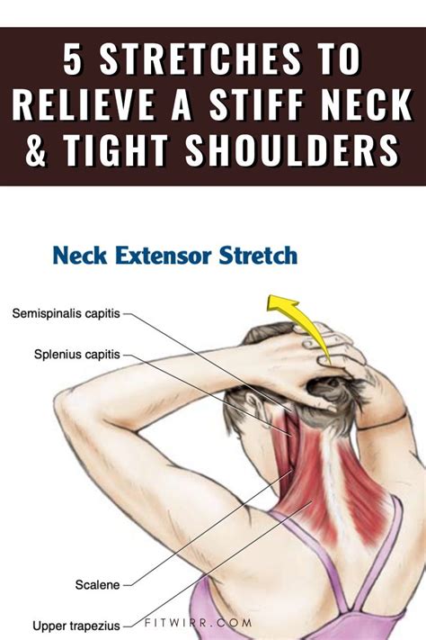 5 Neck Stretches To Release Tension And Restore Comfort Neck And