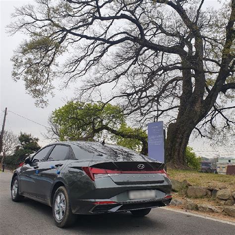 신차 장기렌트카 이용후기 신용점수 장단점 포함 네이버 포스트