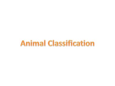 Animal Classification Pptx