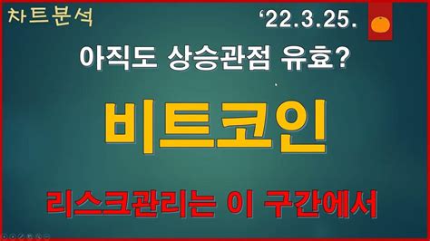 비트코인 시황 단기 상승 조건 단기 조정 조건 리스크관리 구간 23325 Youtube