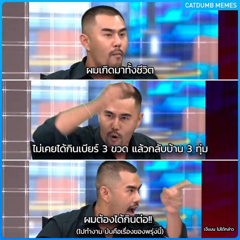 เบา ๆ 3 ทุ่มกลับ ไม่เคยมีอยู่จริง Catdumb แคทดั๊มบ์