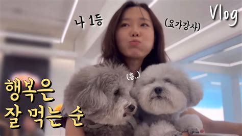 먹방vlog 다이어트 하기 전이 도대체 언제까진데 국수와 전비빔국수해물파전김치전김치수제비무생채비빔밥 강남맛집 요가지도자과정 요가강사 일상브이로그