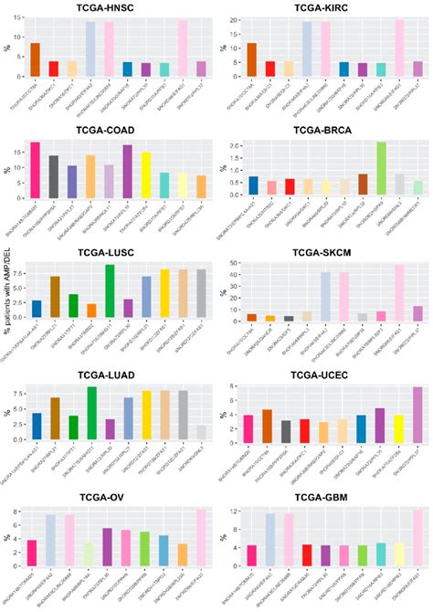 Top Snornahost Gene Couples Undergoing Cna In The Ten Different Tumor Download Scientific