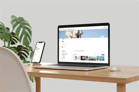 How I Organise My Life And Business In Notion Plannerfly
