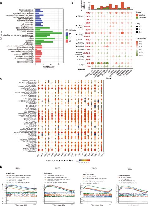 Figure 4 From Pan Cancer And Single Cell Analyses Identify Cd44 As An Immunotherapy Response