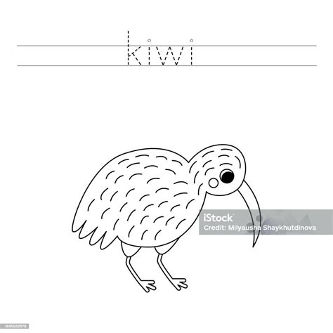 글자를 추적하고 만화 키위 새를 색칠하십시오 아이들을 위한 필기 연습 0명에 대한 스톡 벡터 아트 및 기타 이미지 0명 교육 깃털 Istock
